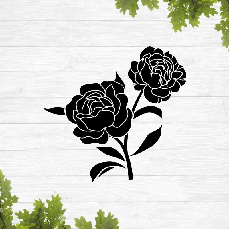 Peony Svg - Etsy
