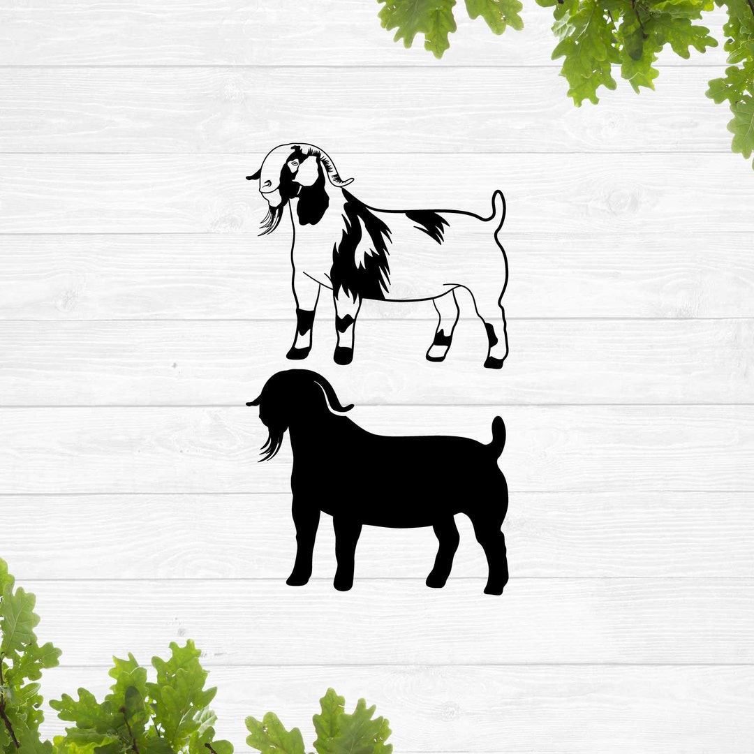 Boer Goat Svg, Pygmy Goat Svg, Farm Goat Svg, Show Goat Svg, Goat Silhouette - Etsy