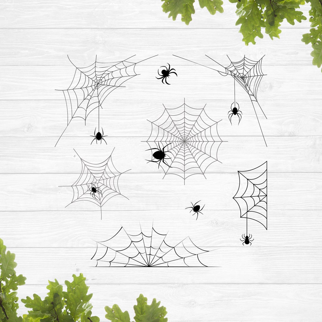 Realistic Corner Spider Web Svg - Etsy