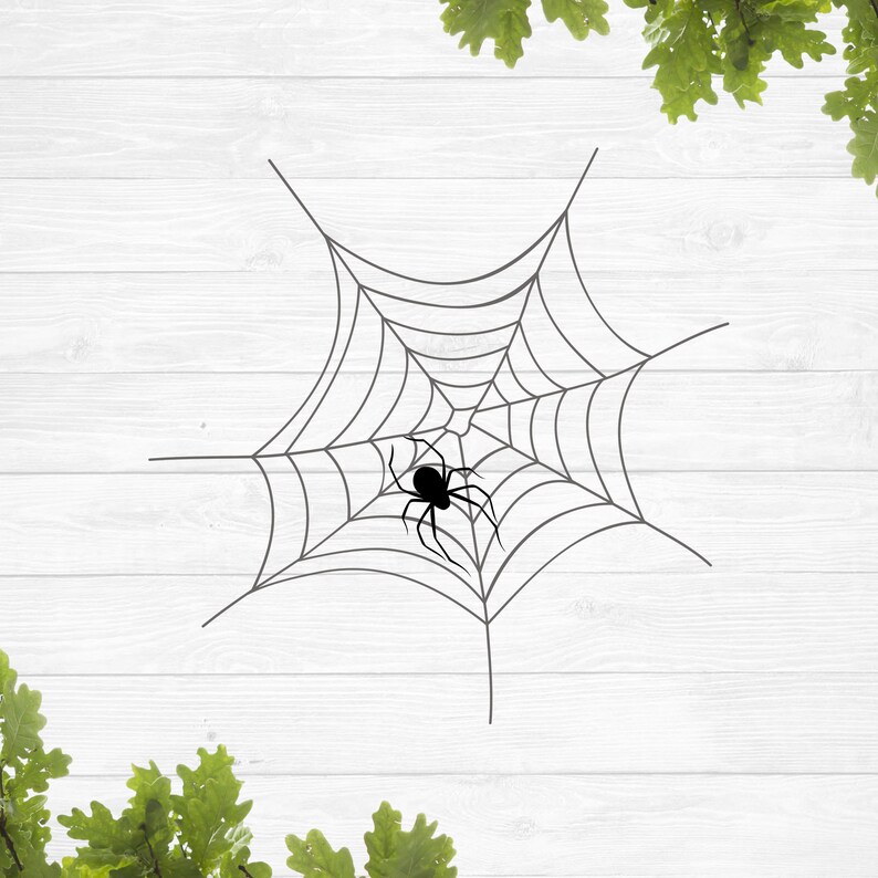 Realistic Corner Spider Web Svg | Etsy