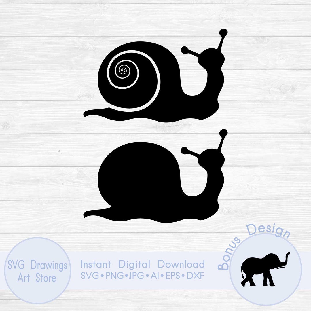 Snail Svg, Snails Svg, Cute Snail Clipart, Baby Svg, Cut File, Svg ...