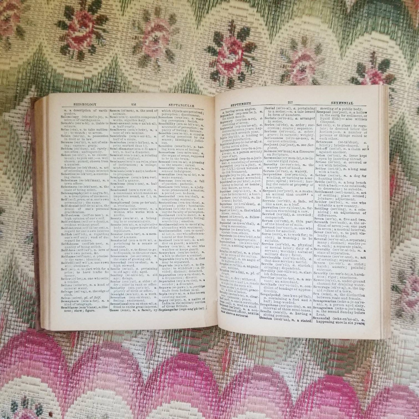 Antique Victorian Book / Small Pocket Dictionary / Princess - Etsy