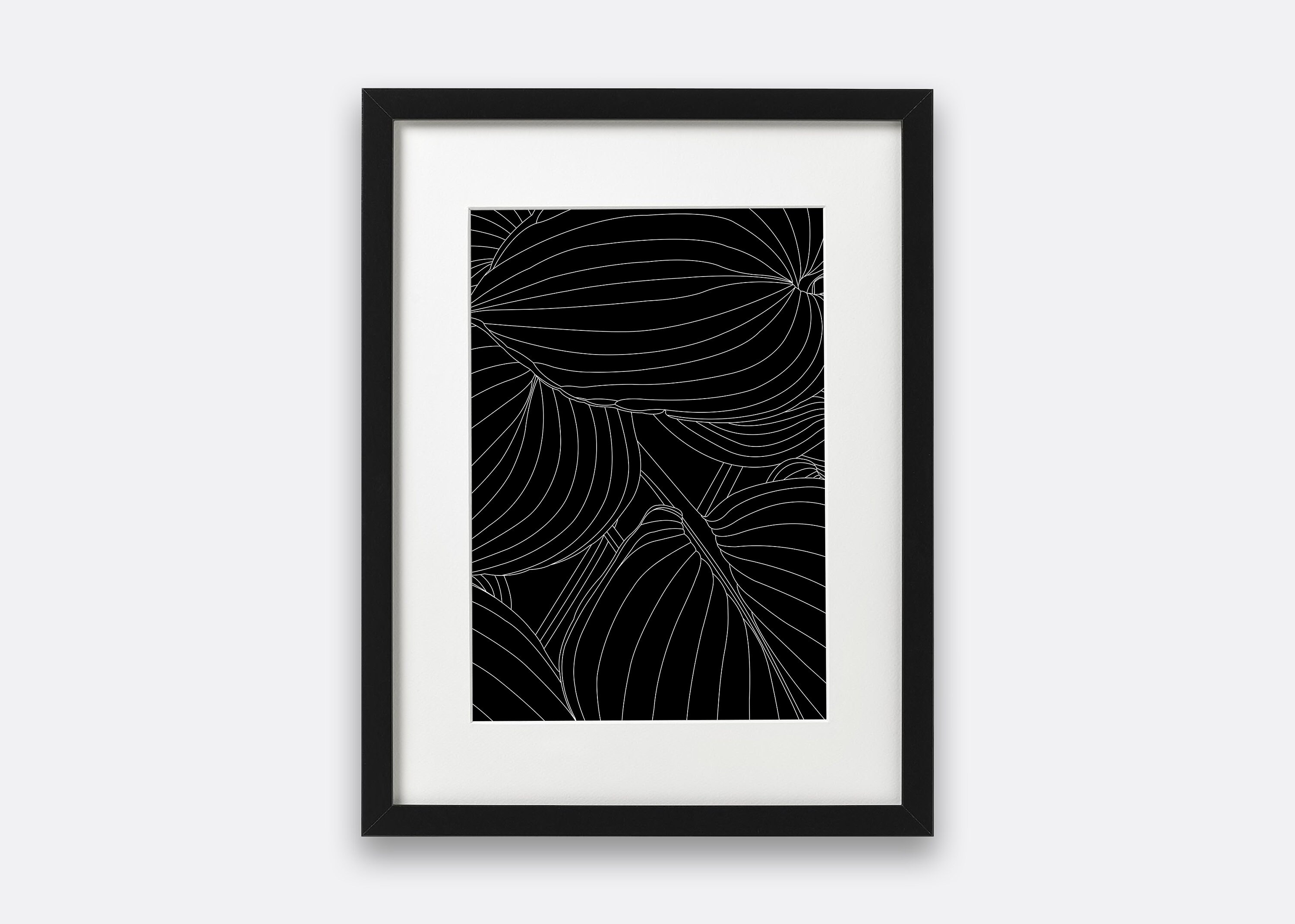 Line Drawing Hosta, Set of Three Minimalist Leaf Prints, A4 Botanical ...