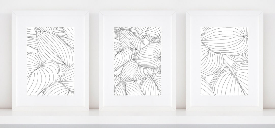 Line Drawing Hosta, Set of Three Minimalist Leaf Prints, A4 Botanical ...