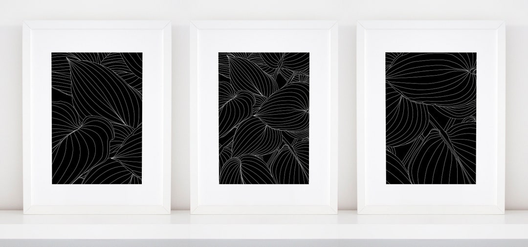 Line Drawing Hosta, Set of Three Minimalist Leaf Prints, A4 Botanical ...