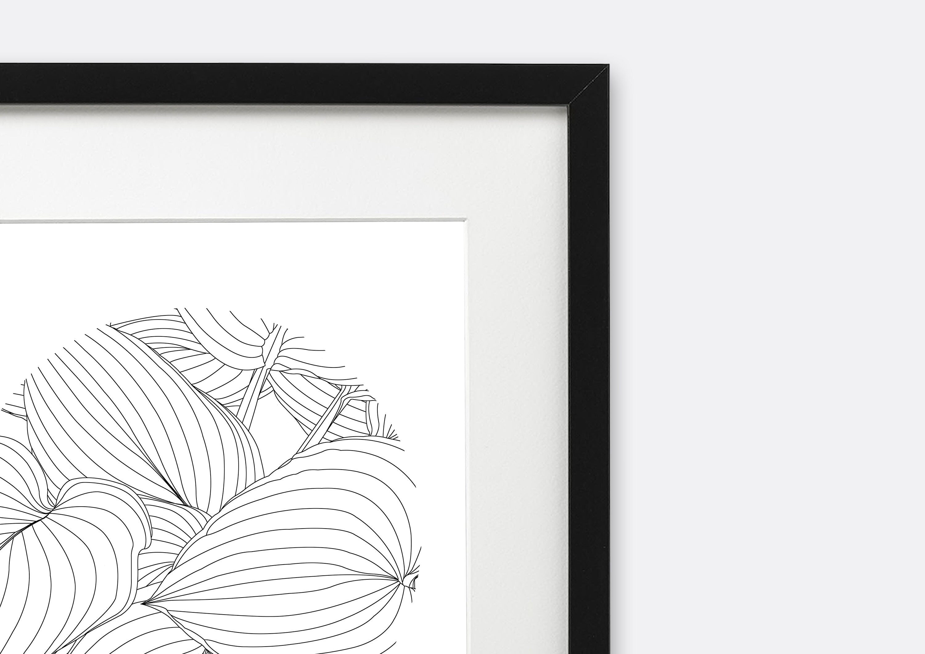 Circle Line Drawing Hosta Minimalist Leaf Print A4 Botanical - Etsy