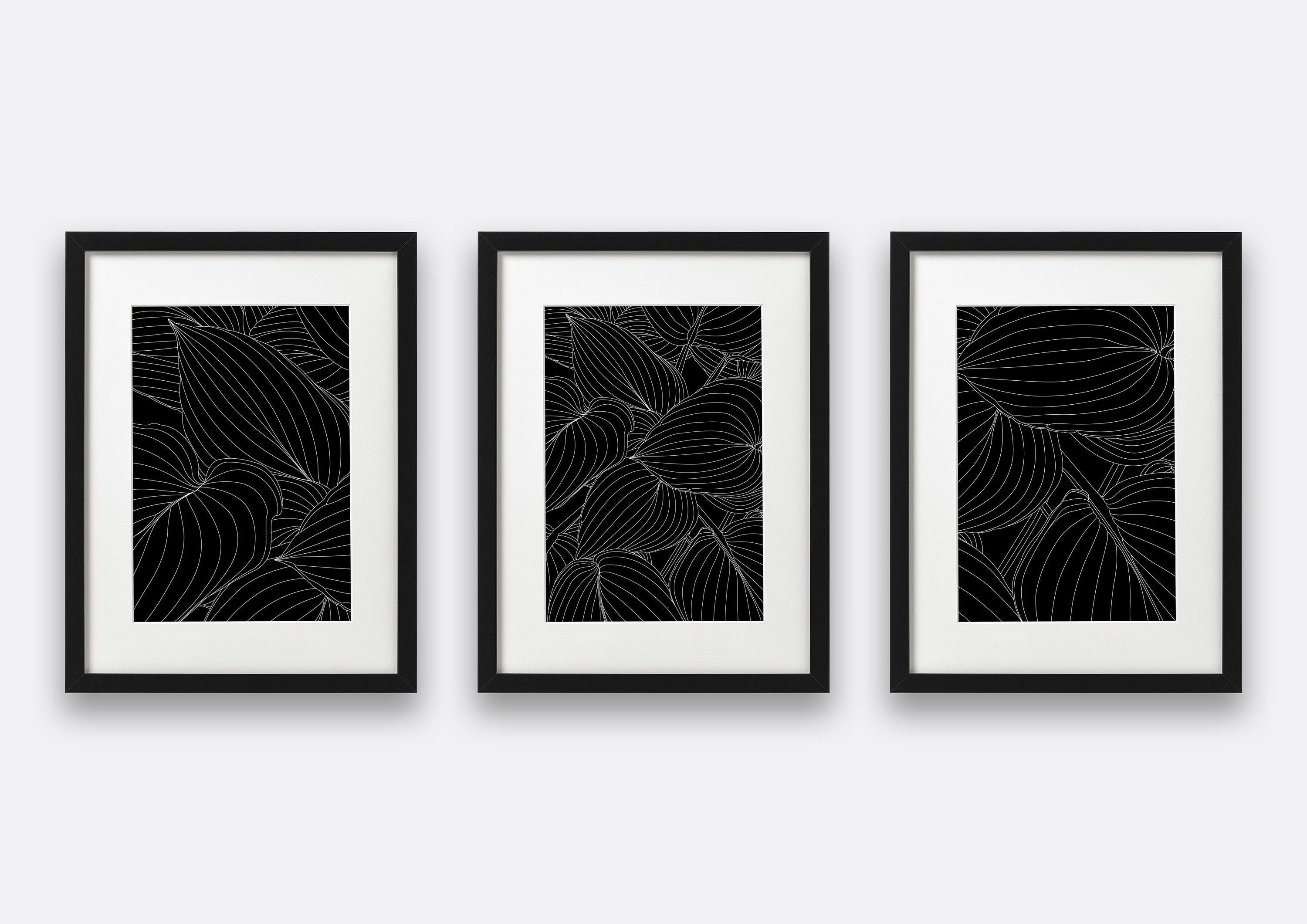 Line Drawing Hosta, Set of Three Minimalist Leaf Prints, A4 Botanical ...