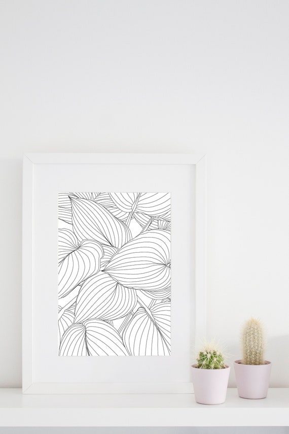 Line Drawing Hosta Minimalist Leaf Print A4 Botanical | Etsy