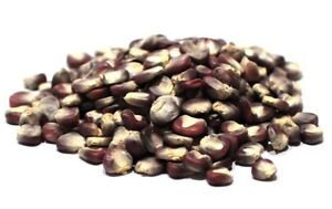 Purple Hominy Seeds - Etsy