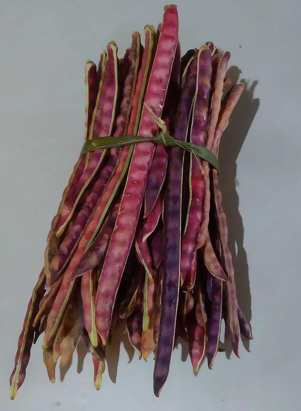 Black Eye Pea Seeds Vigna Unguiculata - Etsy
