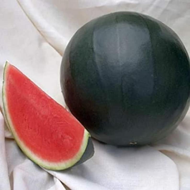 Black Watermelon Seeds - Etsy
