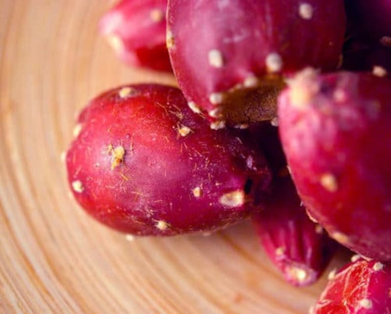 20 Prickly Pear Seeds - Etsy