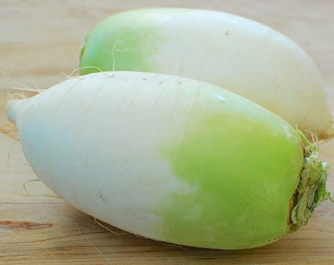 Korean Radish Mu Seeds - Etsy