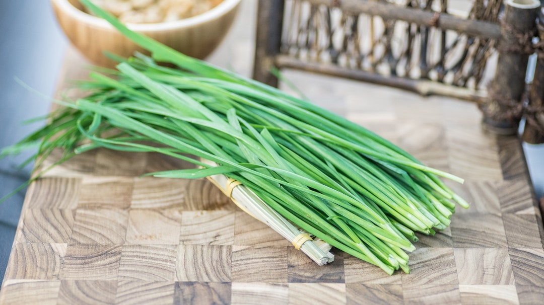 Chinese Leek Seeds韭菜 - Etsy