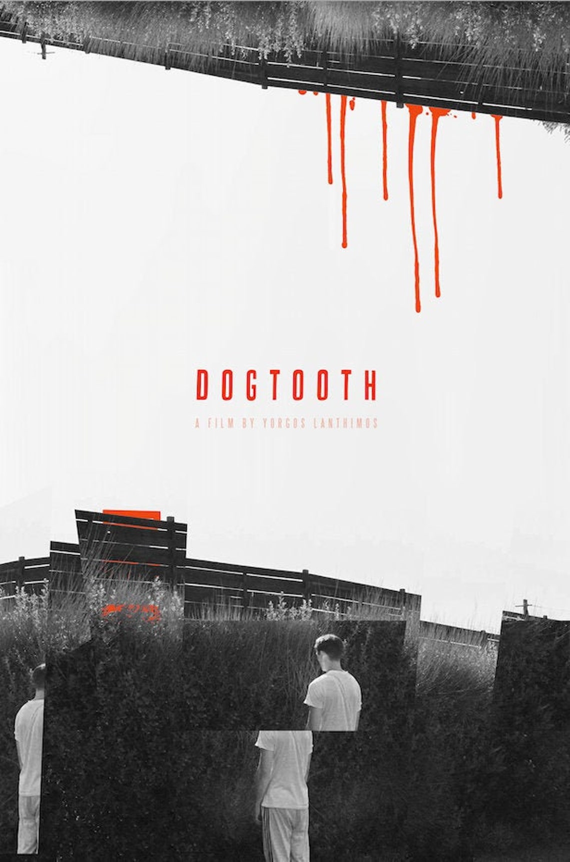 Dogtooth Movie Poster // Dogtooth // Yorgos Lanthimos // | Etsy