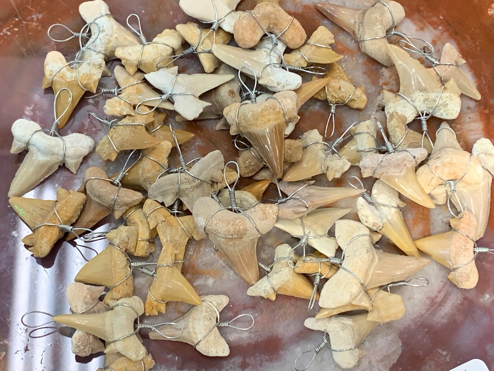 Shark Tooth Fossil Pendant Wire Wrapped Approx 1 Inch in - Etsy UK