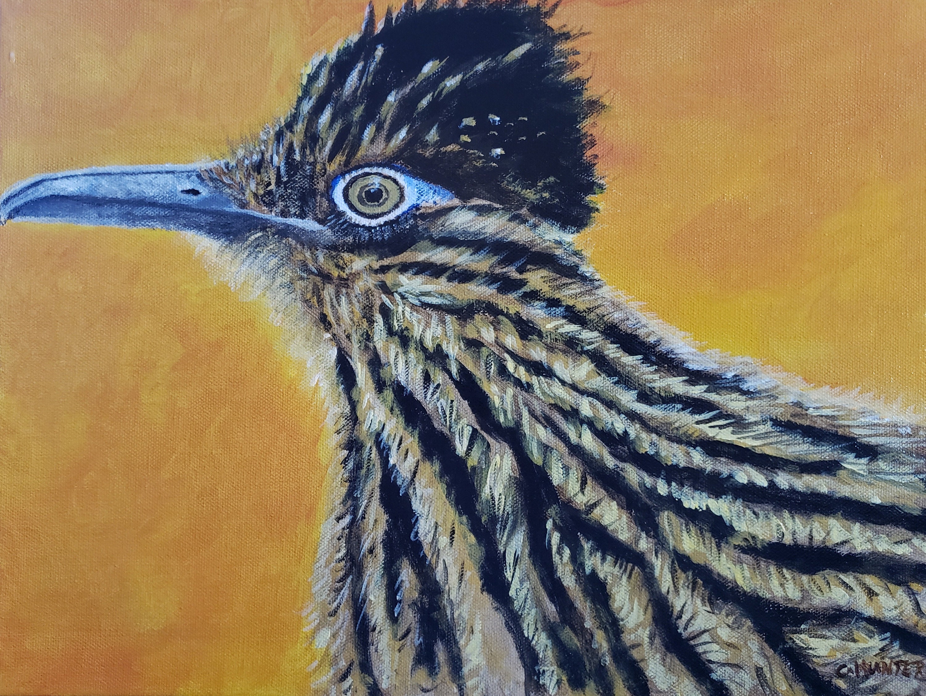 Roadrunner Art Print Digital Download - Etsy