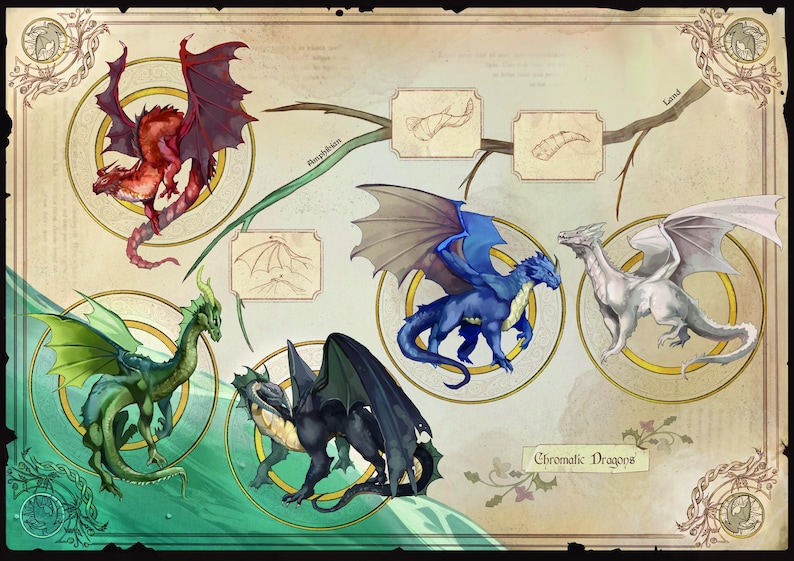 Poster phylogenetic Tree of the 5 Chromatic Dragons Inspired by ...