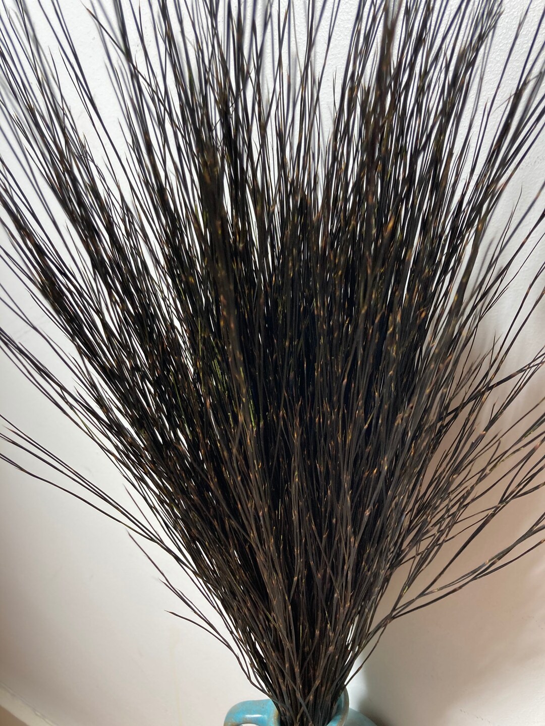 Preserved Bell Grass. - Etsy
