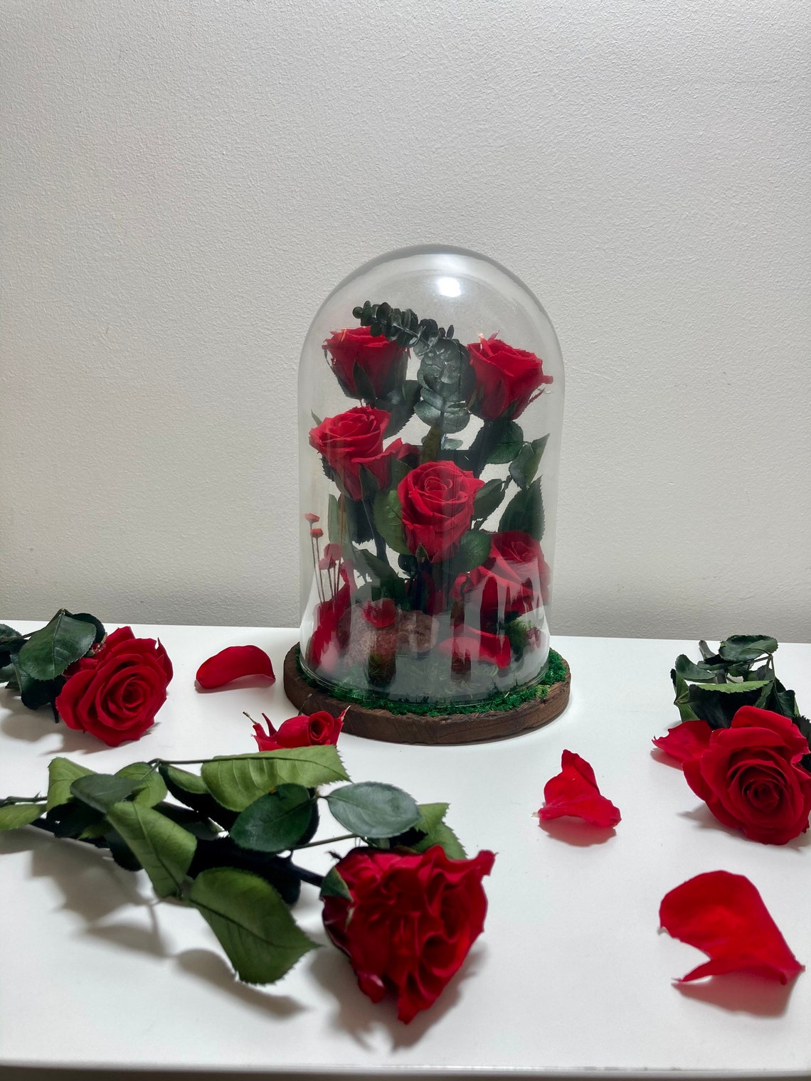 Preserved 5 red amorosa roses in a bell jar. Forever rose. | Etsy