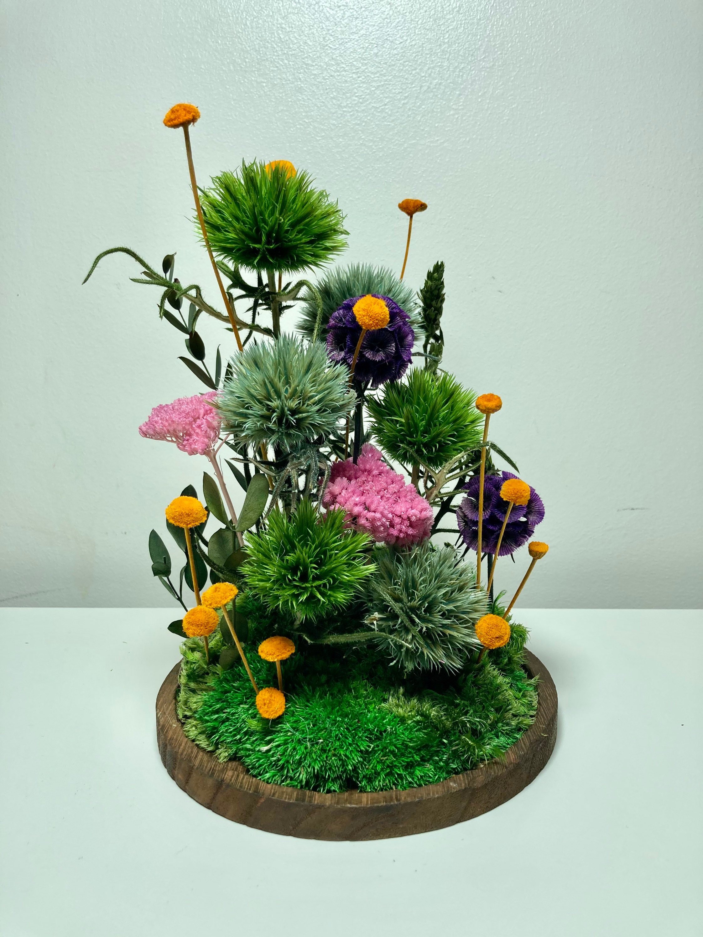 Preserved Moss Art in a Bell Jar. Moss Dome Art No - Etsy