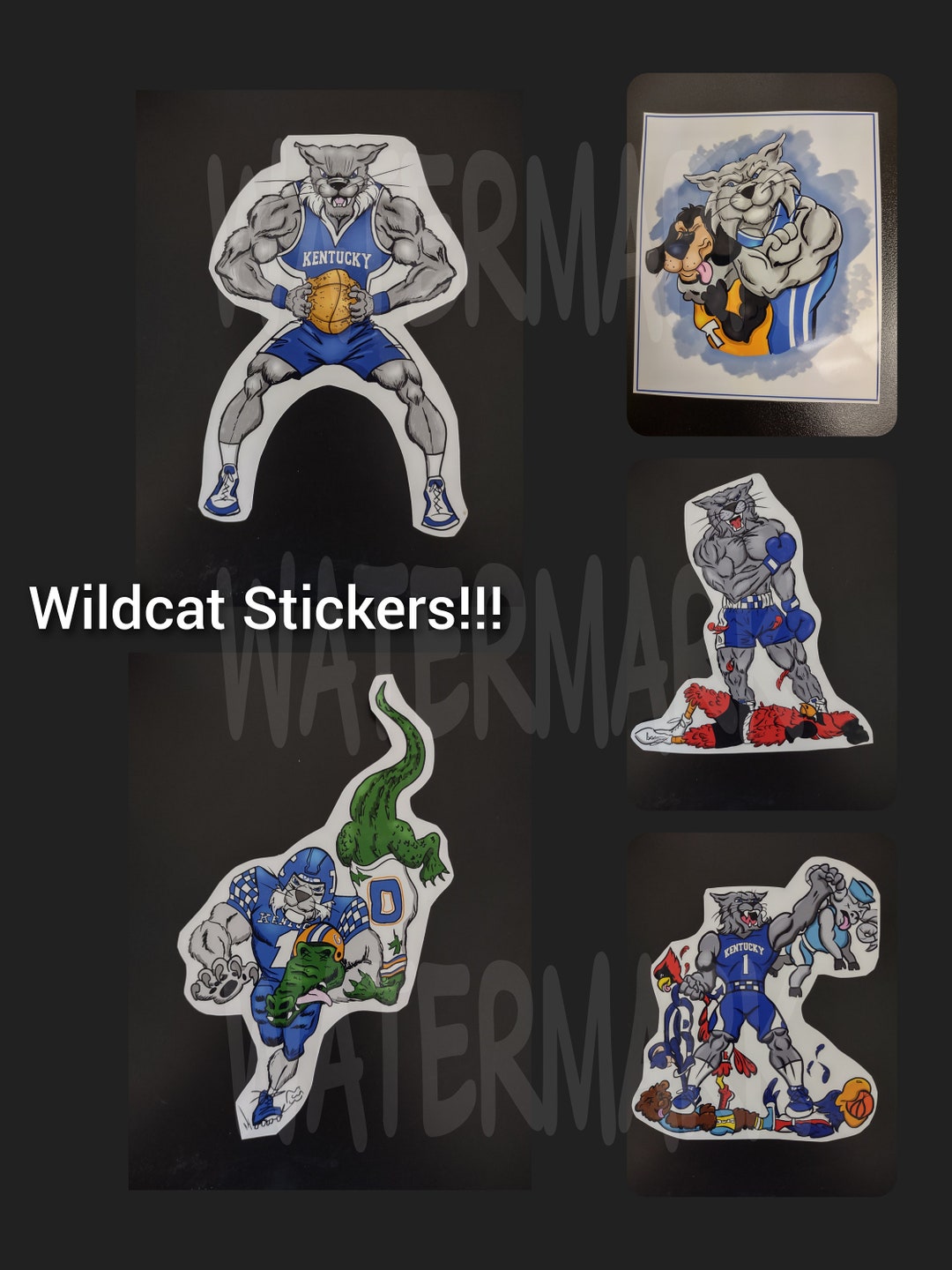 Original Wildcat Stickers Set of 5 - Etsy