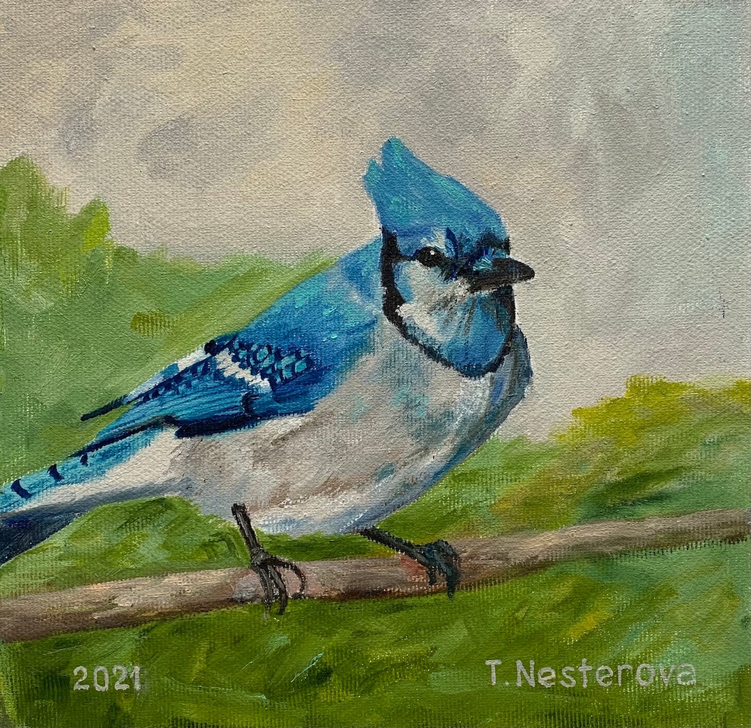 Bird Painting. Original Art. Small 8x8 Inches Oil Painting on Canvas ...