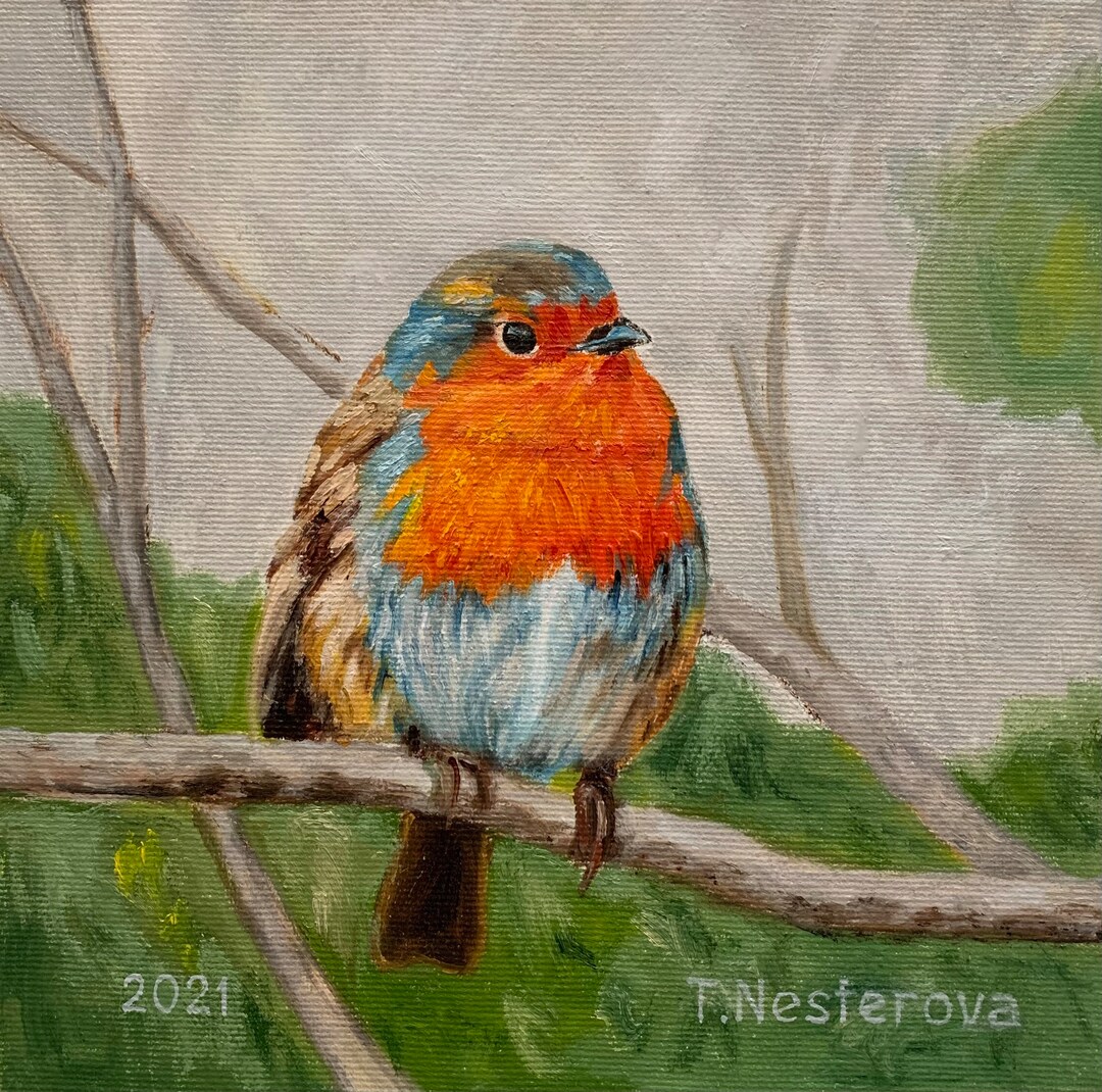Robin Bird Painting. Original Oil Painting on Canvas 8x8 Inches. Hand ...