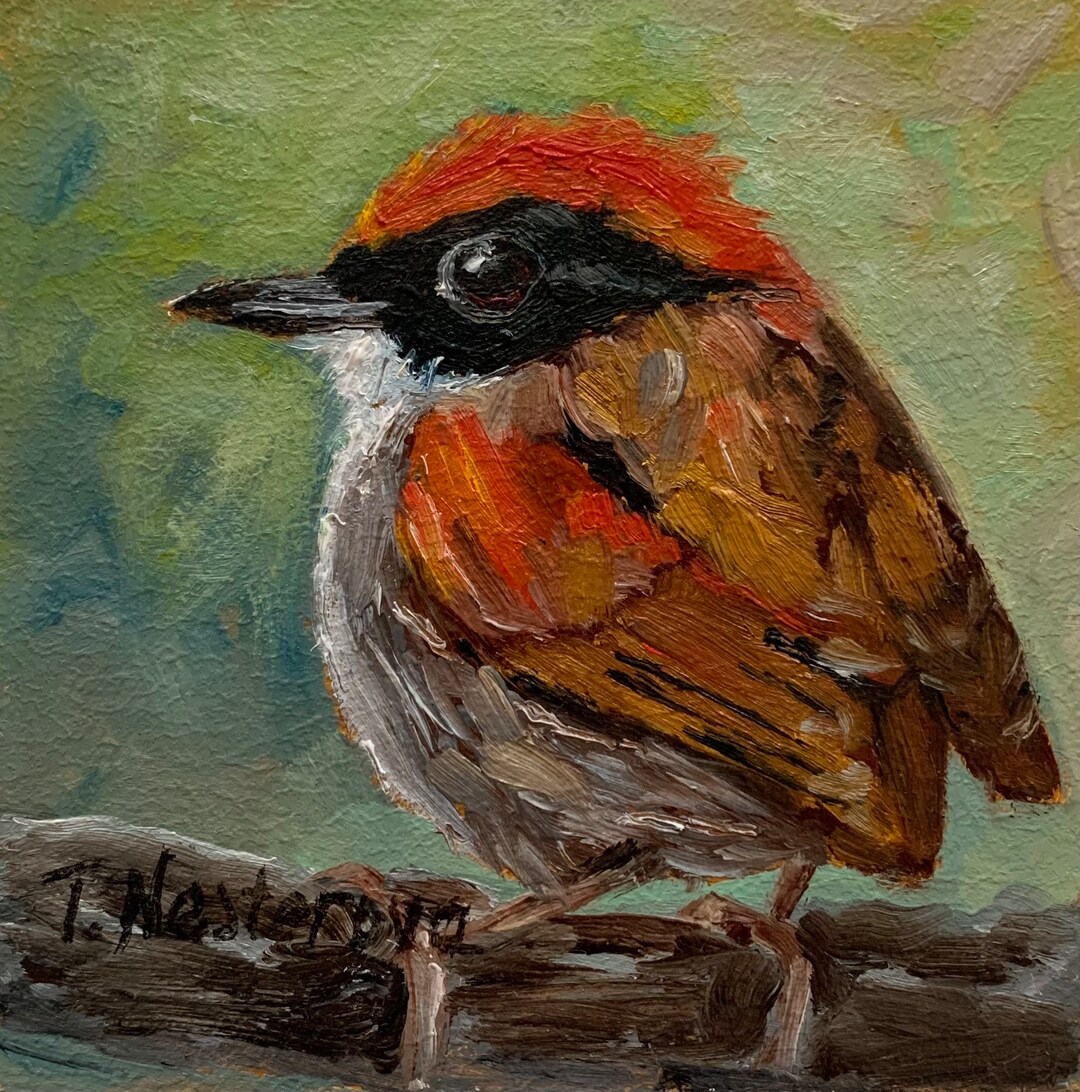 Bird Art. Small Tiny Oil Painting 4x4 Inches. Original Fine Art. Best ...