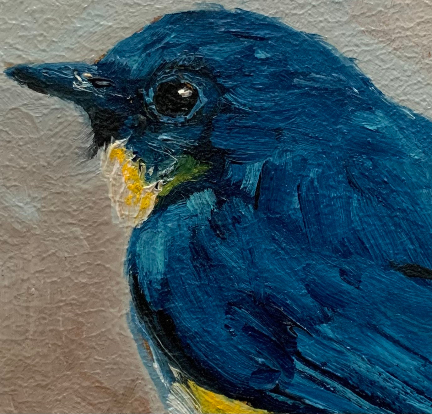 Bird Art. Small Tiny Oil Painting 4x4 Inches. Blue Bird. Original Fine ...