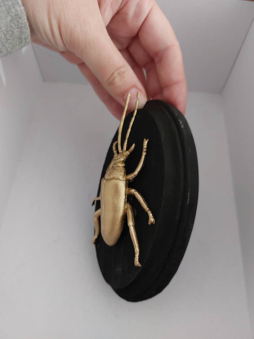 Fake Beetle Wall Hanging Kids Bedroom Classrom Decor - Etsy