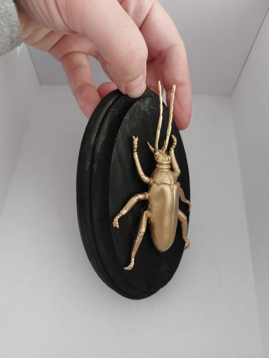 Fake Beetle Wall Hanging Kids Bedroom Classrom Decor - Etsy