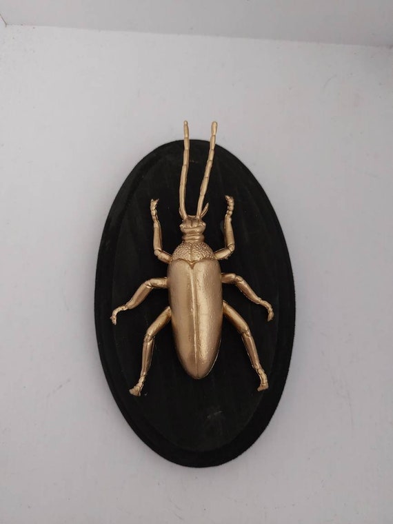 Fake Beetle Wall Hanging Kids Bedroom Classrom Decor - Etsy
