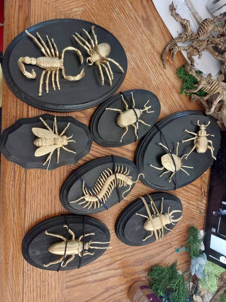 Fake Beetle Wall Hanging Kids Bedroom Classrom Decor - Etsy