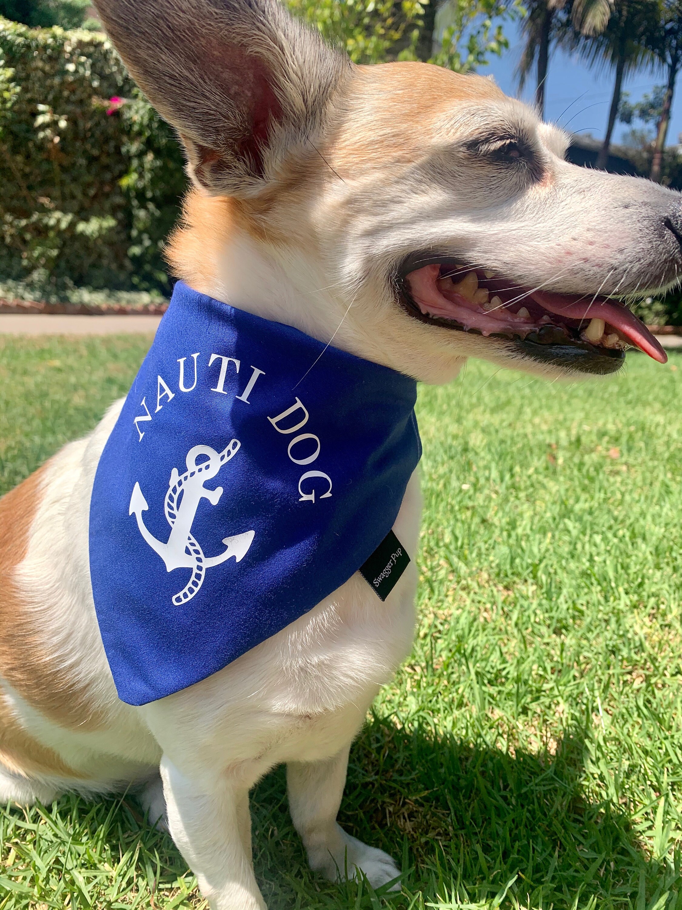 Nauti Dog Bandana. Handcrafted Dog Accessories for Your Pet. Unique ...