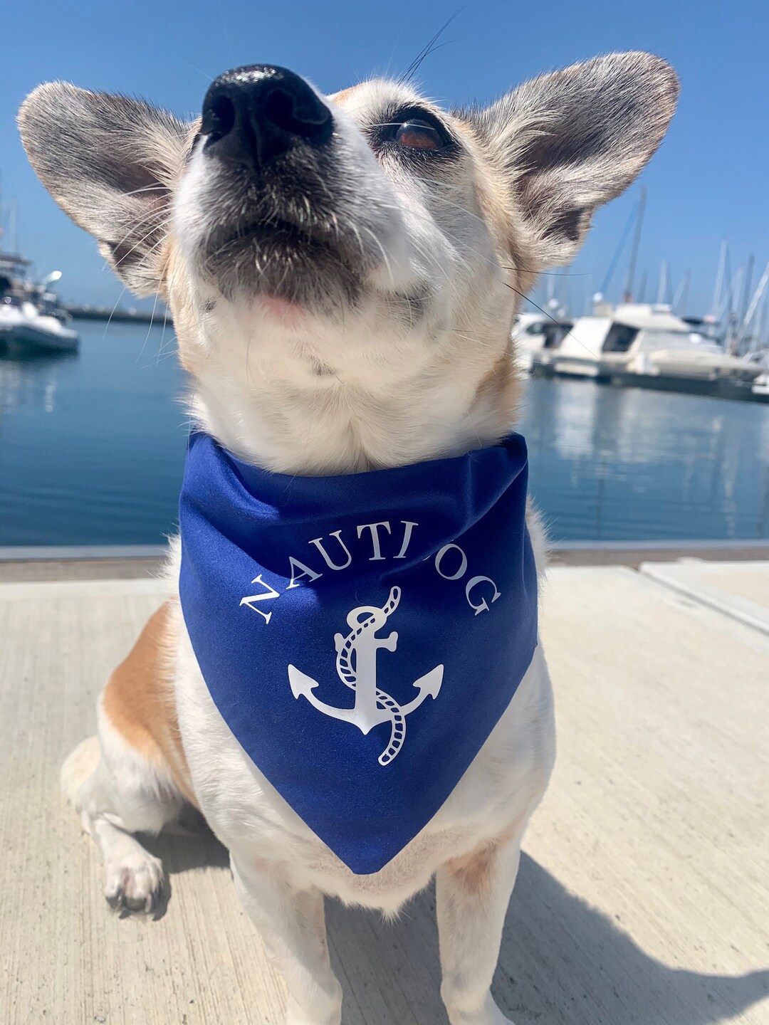 Nauti Dog Bandana. Handcrafted Dog Accessories for Your Pet. Unique ...