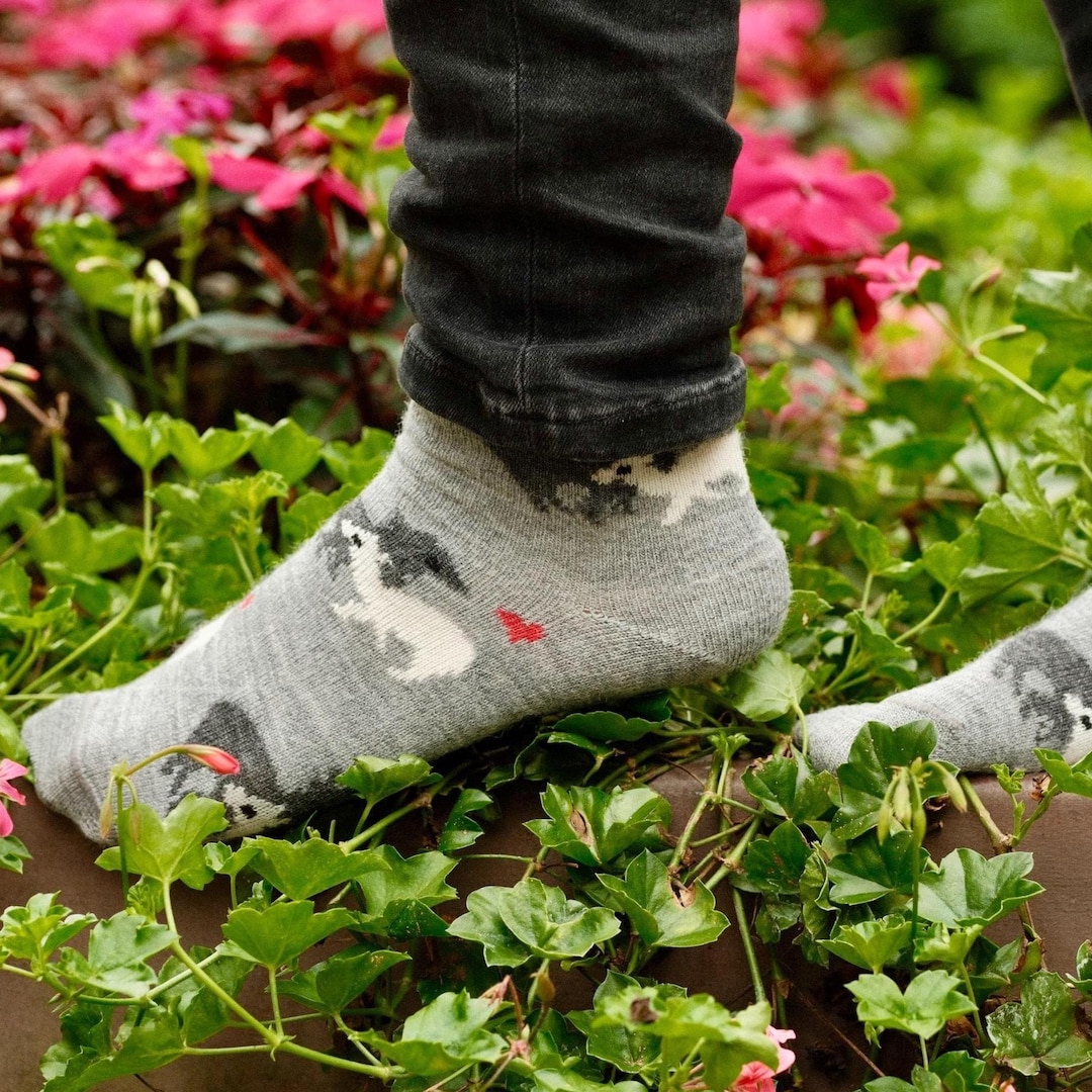 Alpaca Socks With Cute Alpaca Print – Cute Crew Socks for Men and Women ...