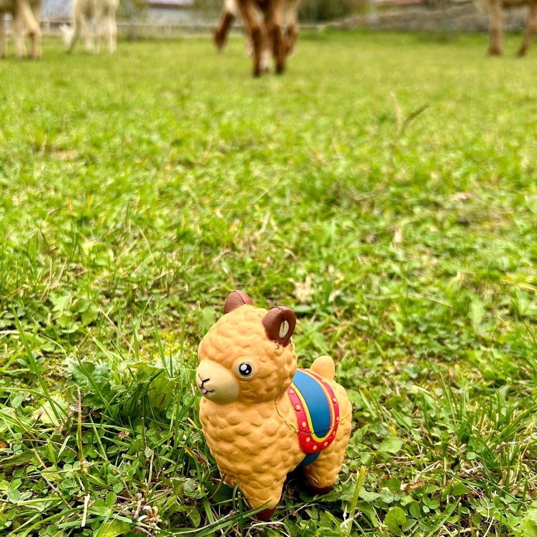 Colorful Alpaca Stress Ball, Alpacas Llama Soft Foam Anti Anxiety Toy ...