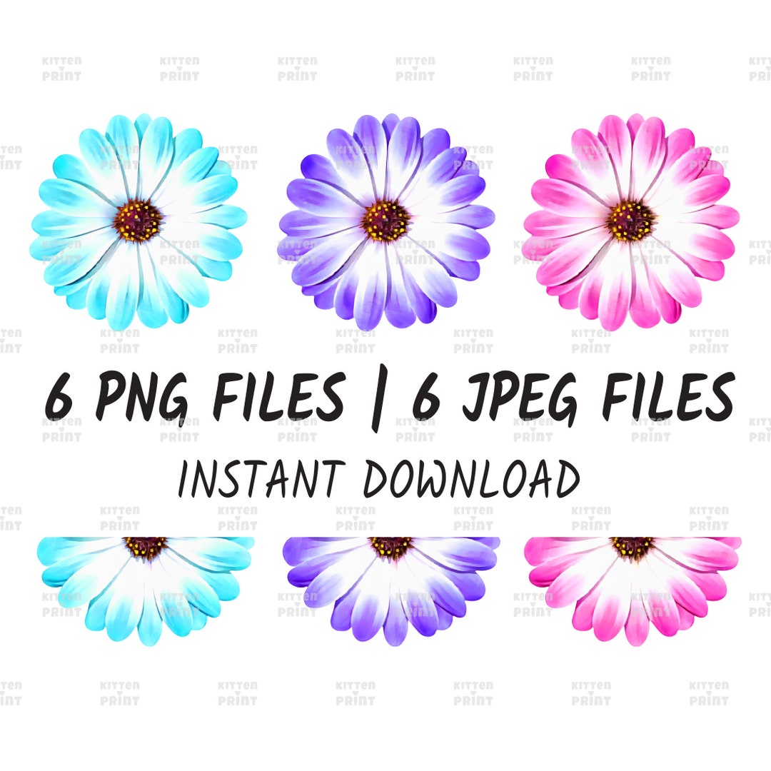 Daisy PNG Fil, Half Daisy Print, Daisy Sublimation Download, Colorful ...