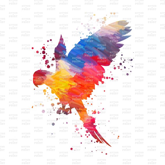Parrot PNG Bird Watercolor Printable Parrot Digital | Etsy