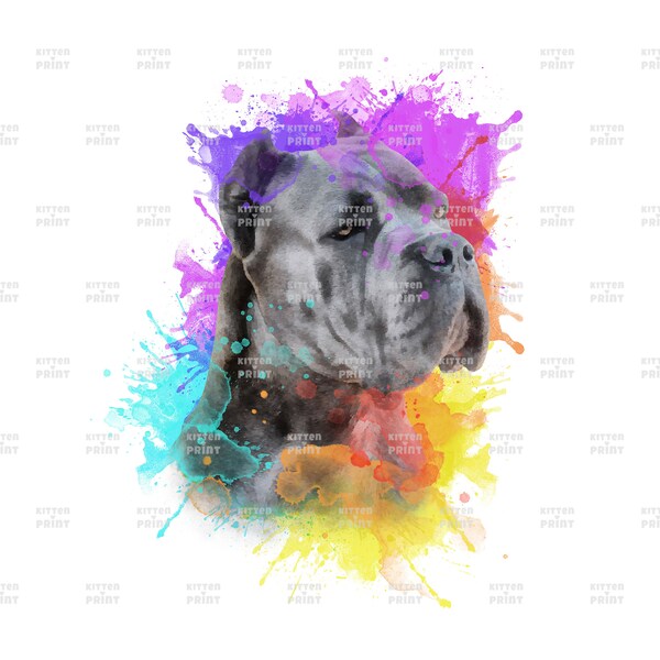 Cane Corso Png - Etsy