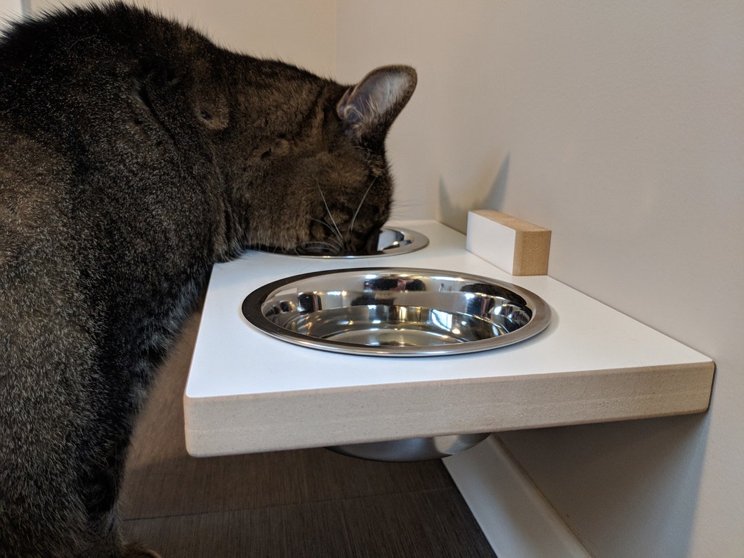 Chow Meow: Modern Elevated Cat Feeder - Etsy