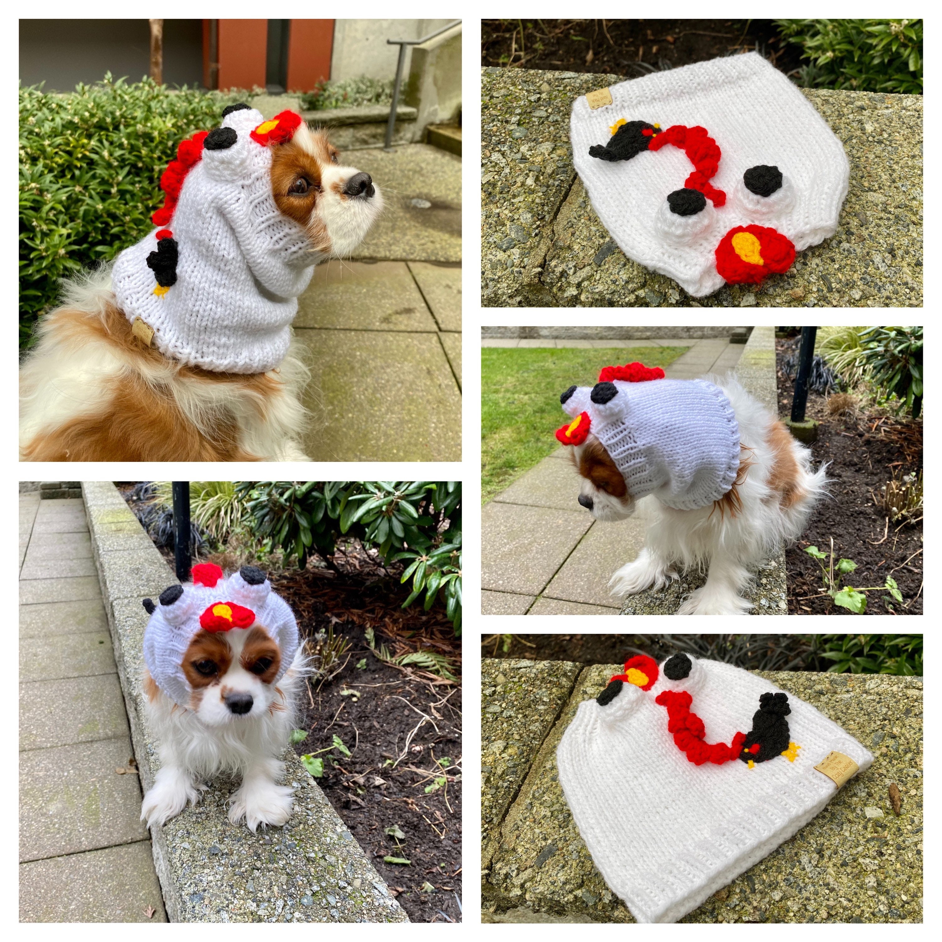 Spring Chicken Snood Cavalier Spaniel Snood Cocker English Toy | Etsy