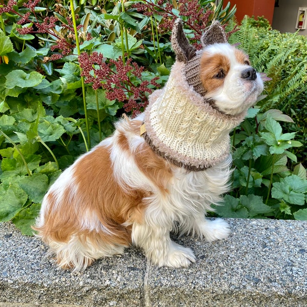 Cavalier Dog Snood - Etsy