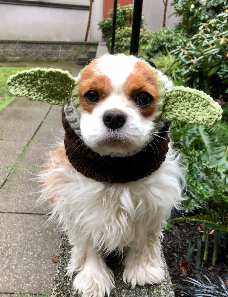 Baby Yoda Snood Cavalier Spaniel Snood Cocker English Toy | Etsy