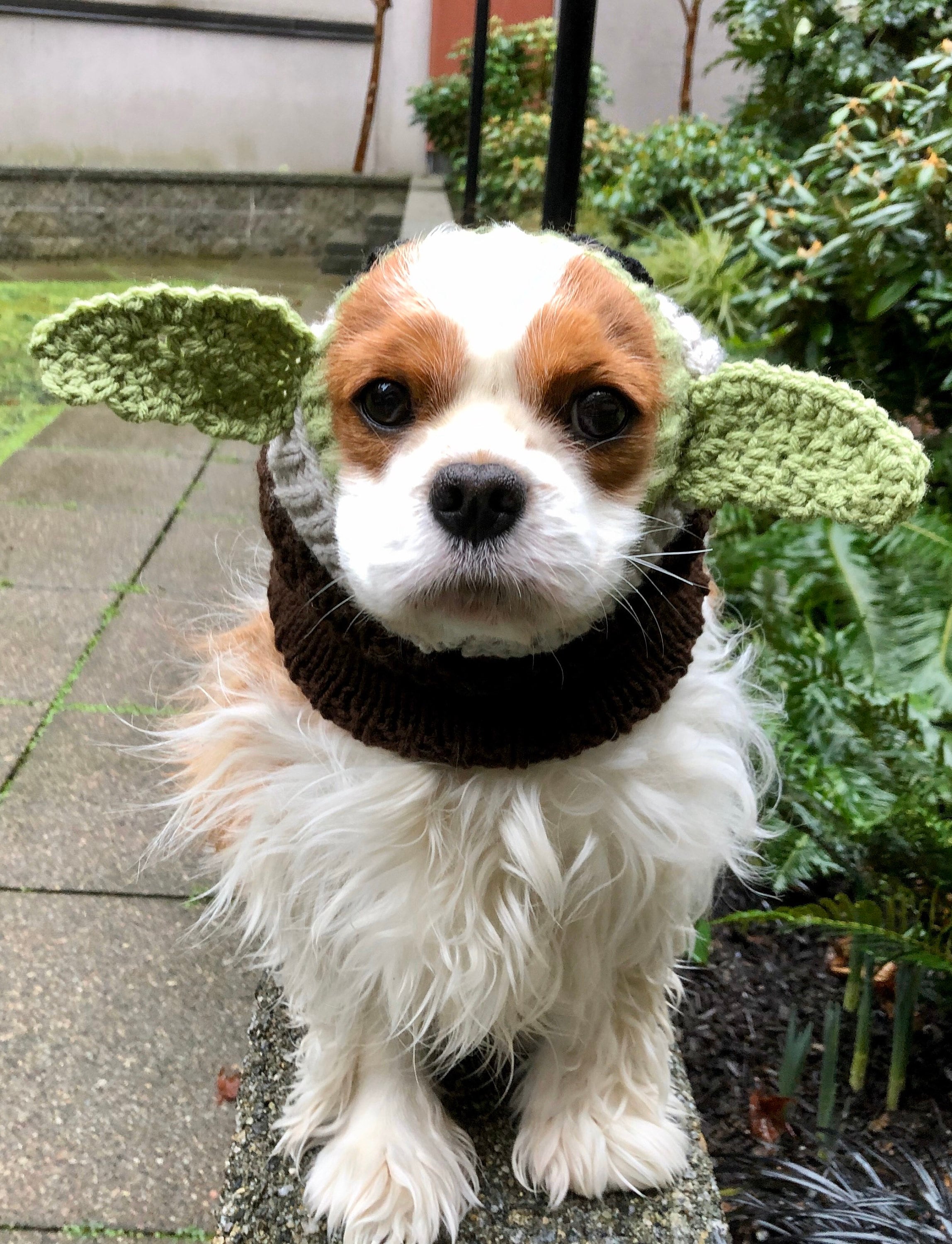 Baby Yoda Snood Cavalier Spaniel Snood Cocker English Toy - Etsy