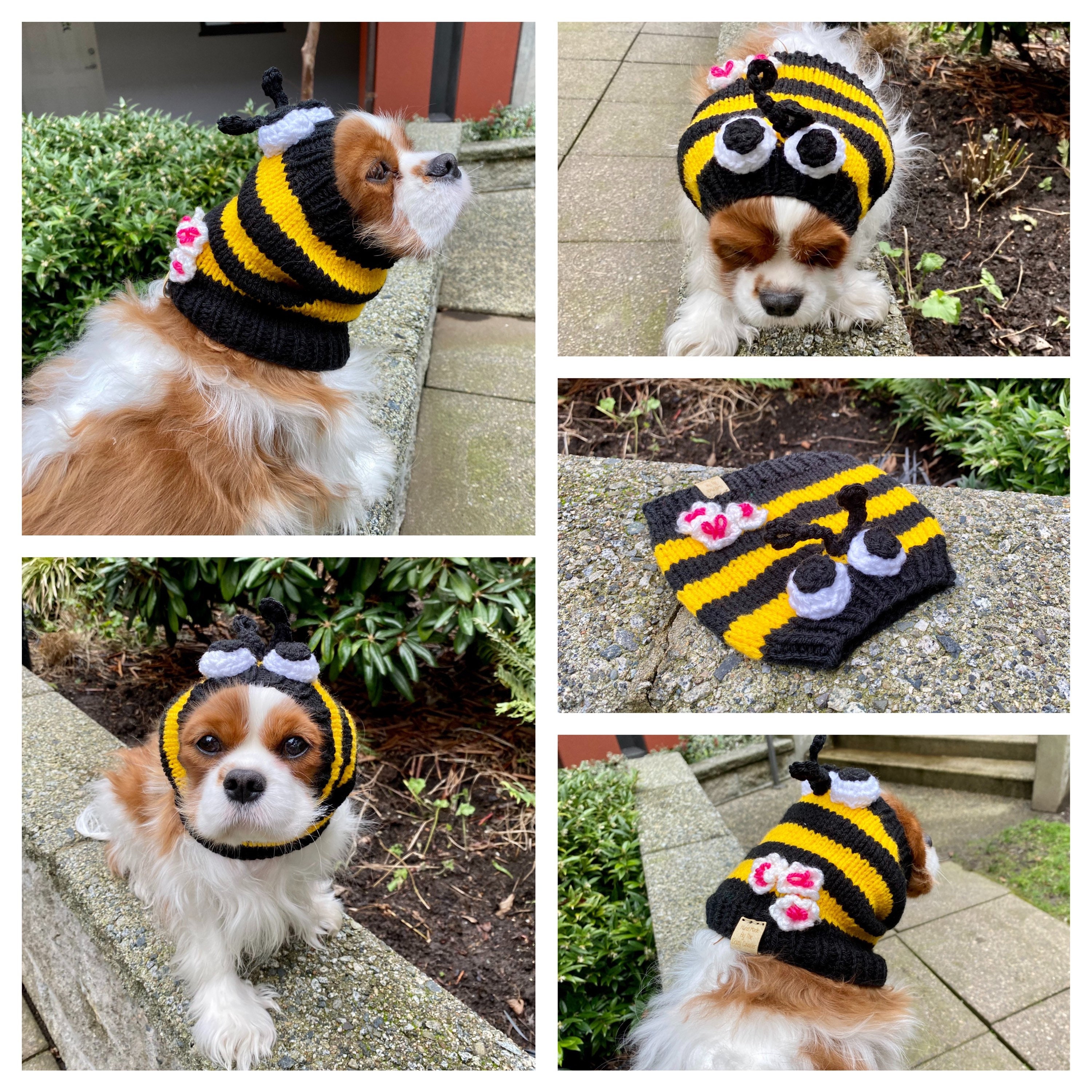 Bumble Bee Snood Cavalier Spaniel Snood Cocker English Toy | Etsy