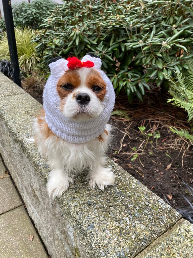 Spring Chicken Snood Cavalier Spaniel Snood Cocker English Toy | Etsy