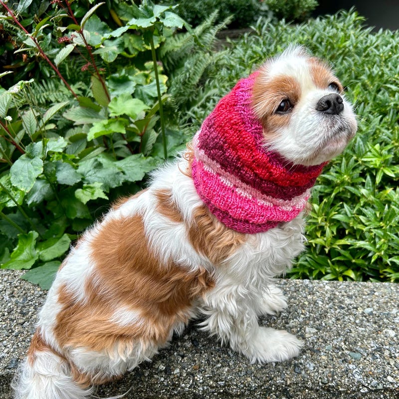 TheCozyCavalier - Etsy