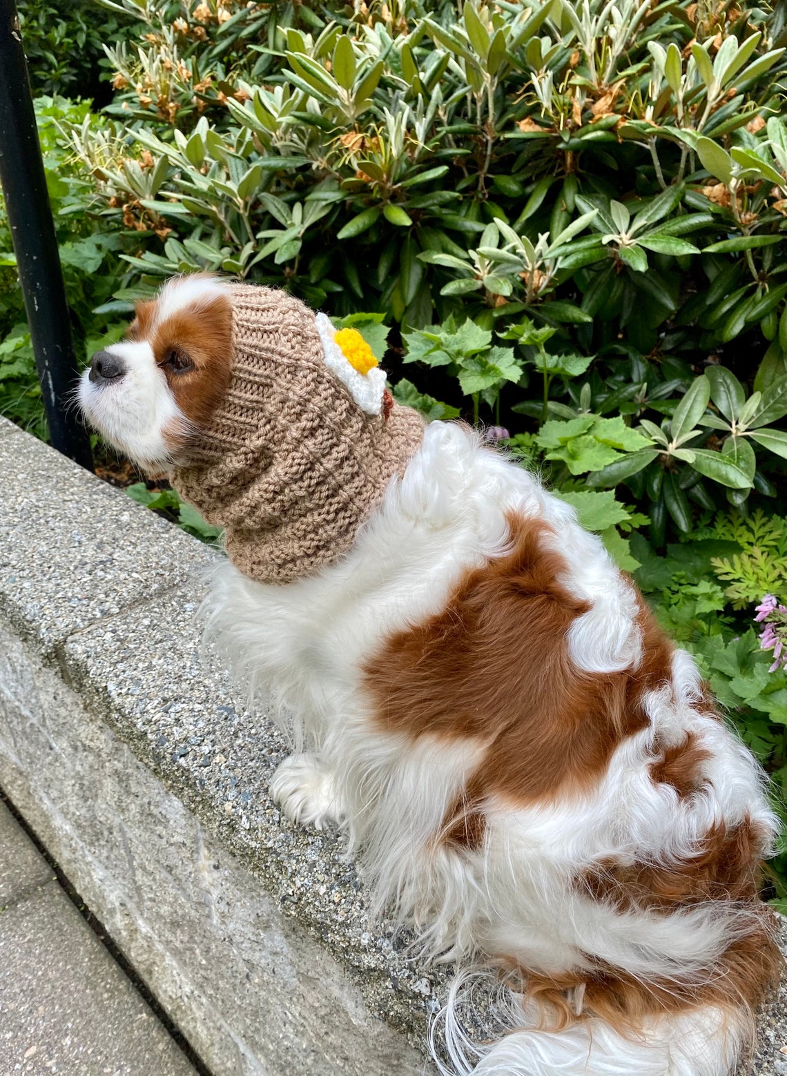 The Waffles Breakfast Snood Cavalier Spaniel Snood Cocker - Etsy